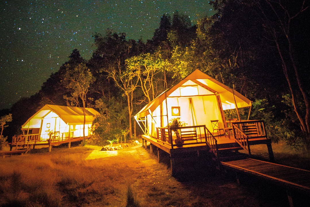 How Sustainable Tourism is Saving the Cardamom Mountains