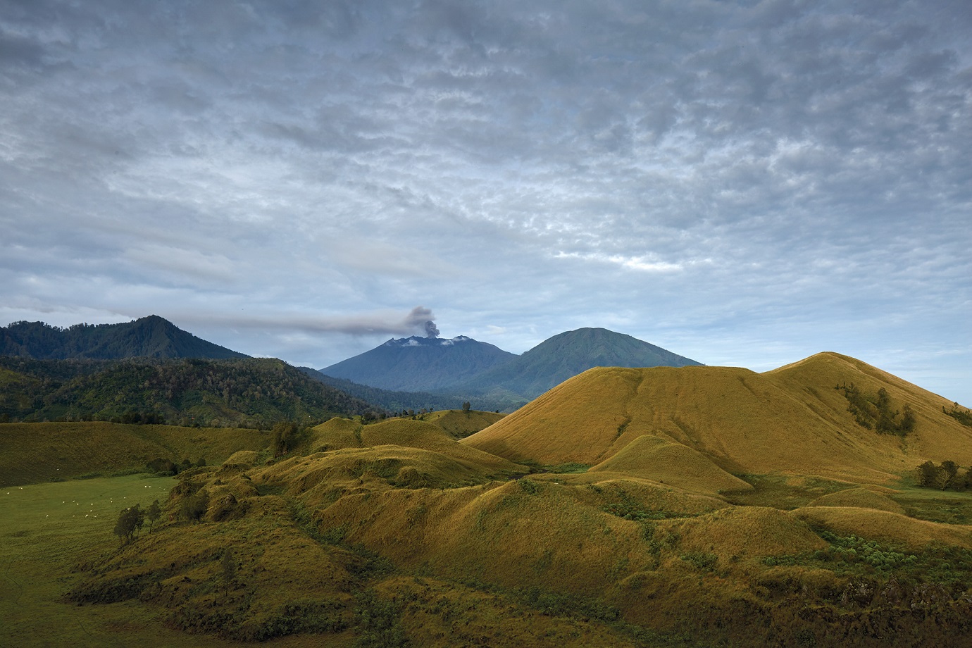 The Hidden Charms of Java’s Wild East