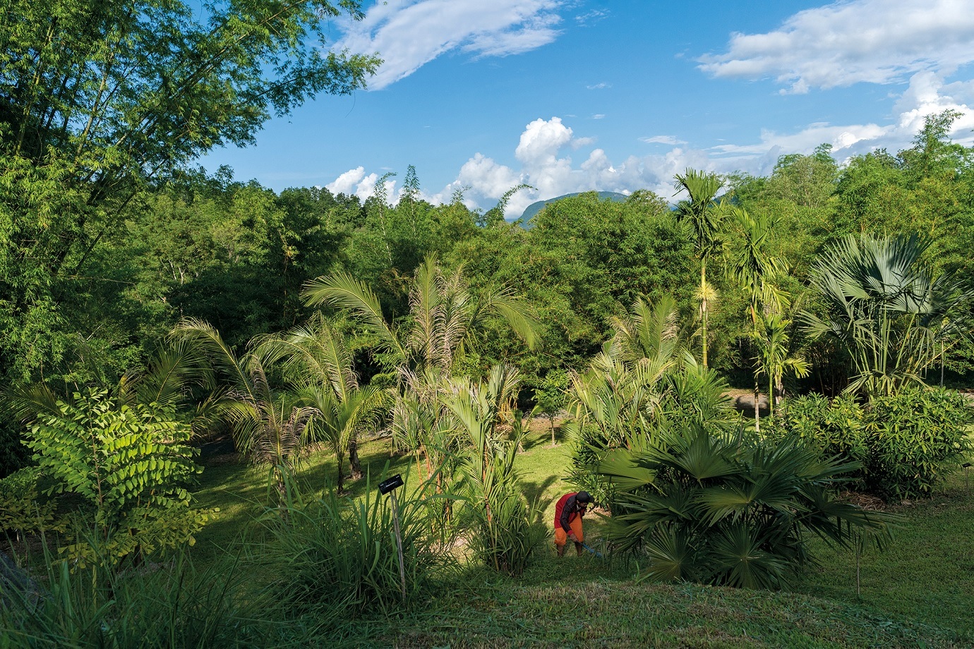 Behind Laos’s Ambitious Pha Tad Ke Botanic Garden